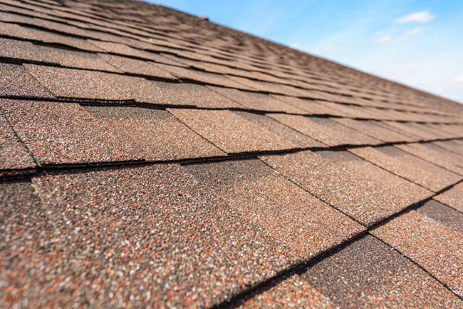 Extend Your Roof’s Lifespan With Roof Soft Washing | Denver's Window ...